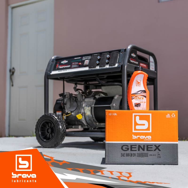 BRAVA GENEX - MANTÉN TU PLANTA BRAVA – Brava Racing Team